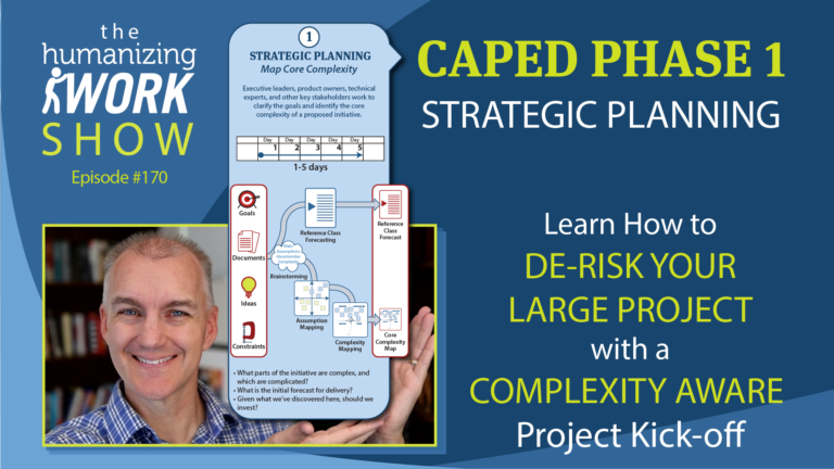 The Humanizing Work Show - Humanizing Work